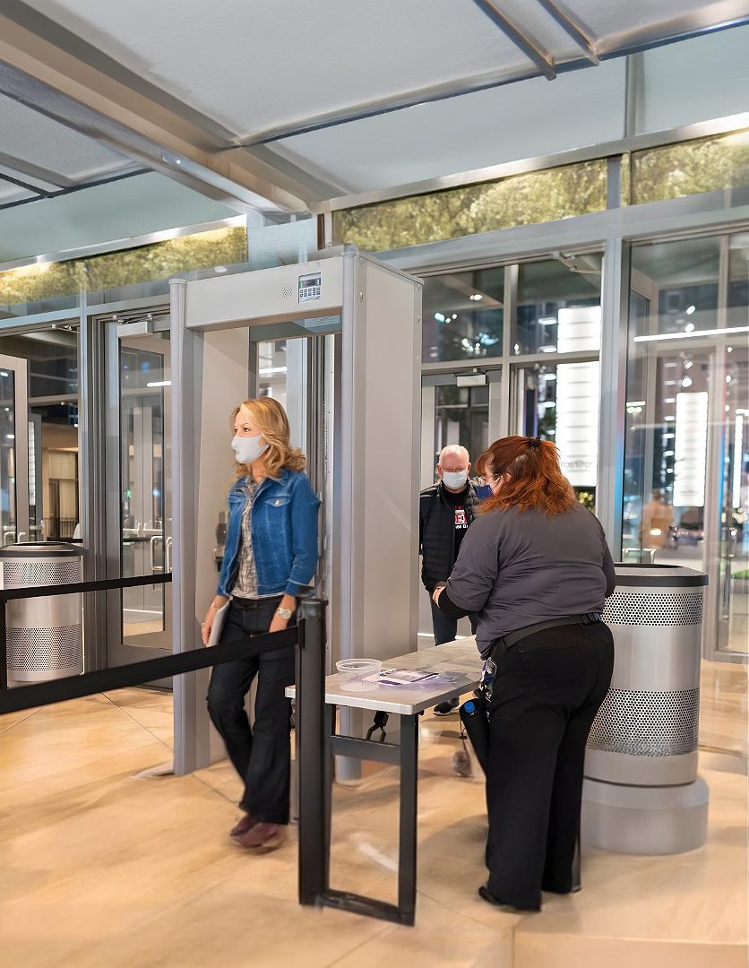 Detector de Metais - Ponto Tecnologia